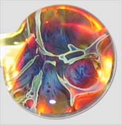 StrikingColor Examples